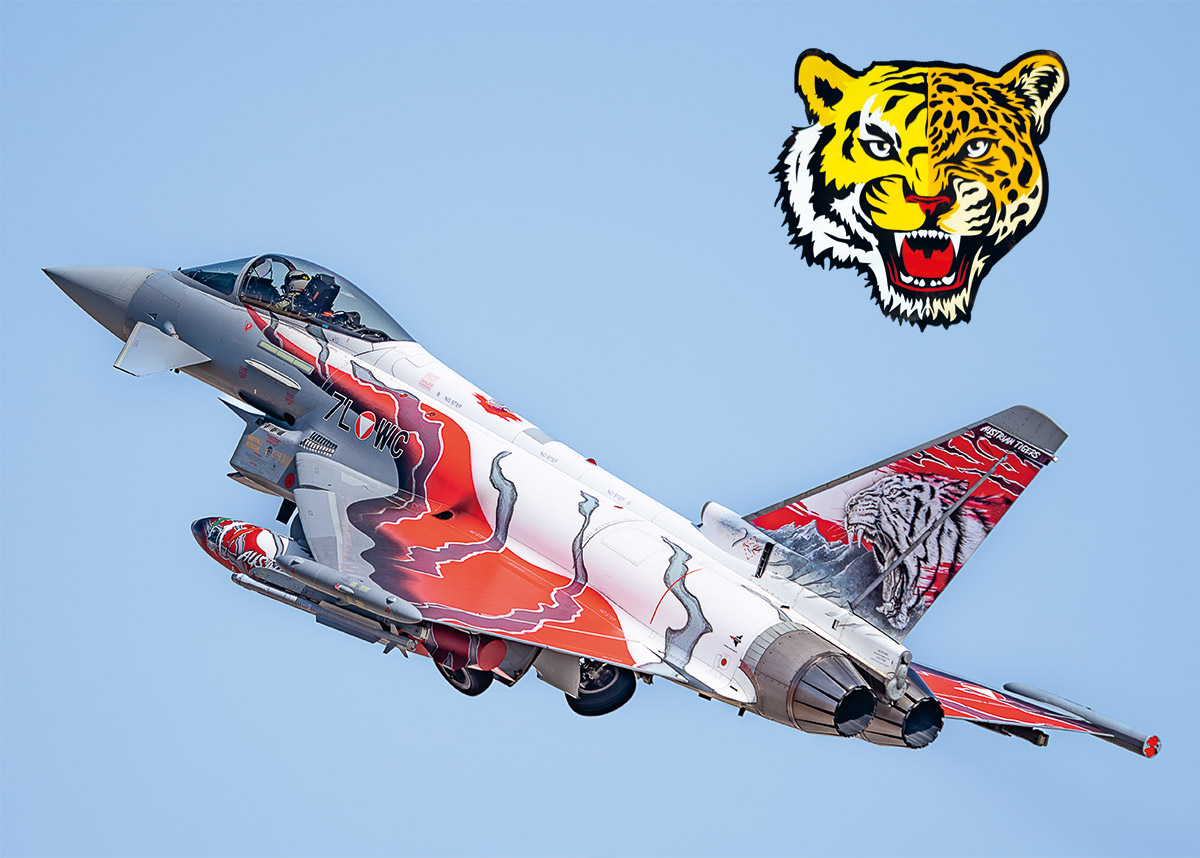 Tiger Meet 2023 - Raids Aviation Magazine