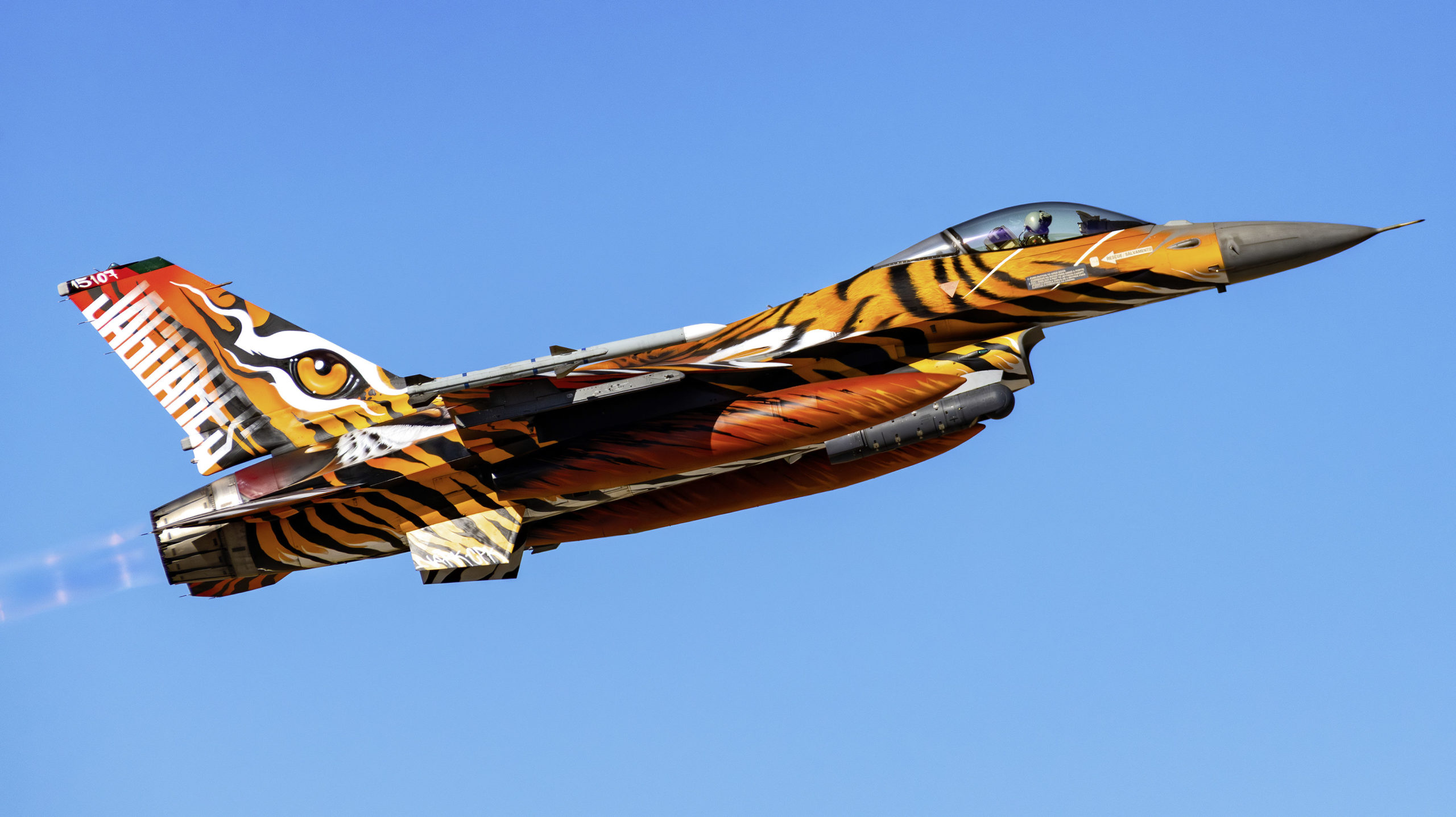 « TIGER MEET 2025 » L'élite des escadrons alliés réunie sous l'emblème ...